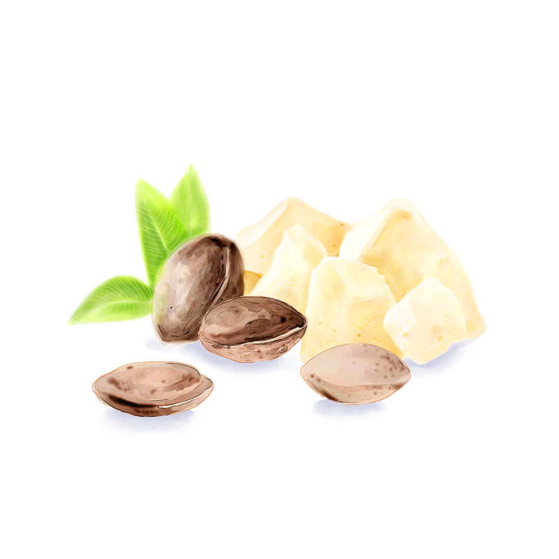 이와세코스파한국